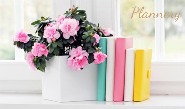 Blog – Oficjalny Sklep Miss Planner